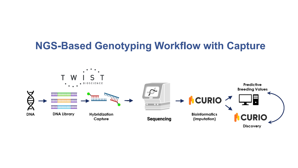 Twist FlexPrep UHT Library Preparation Kit | Twist Bioscience